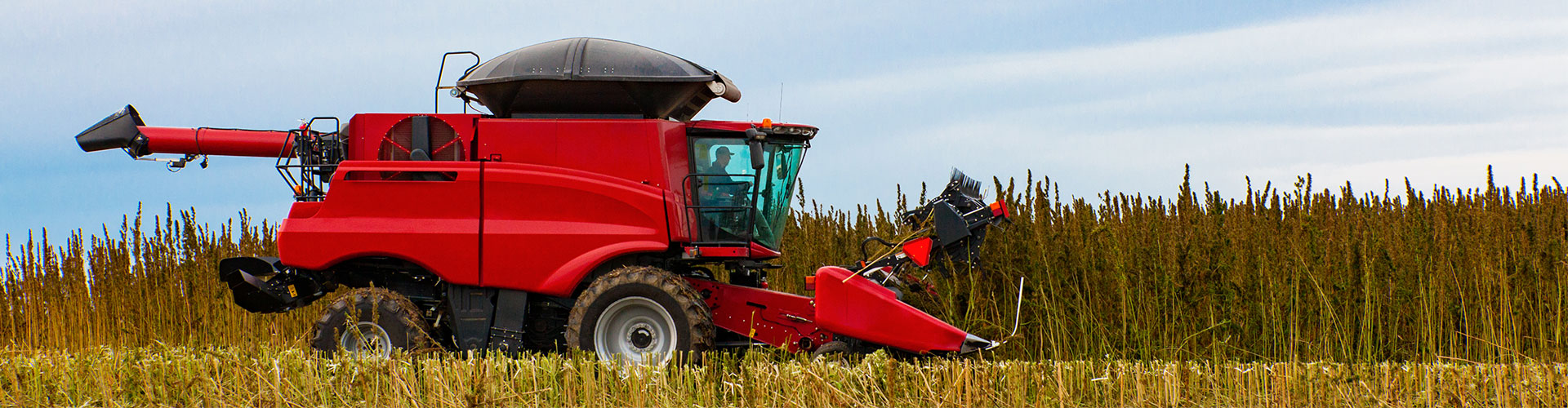 Hemp Farming, Hemp Agriculture Information | Long Jetty, NSW